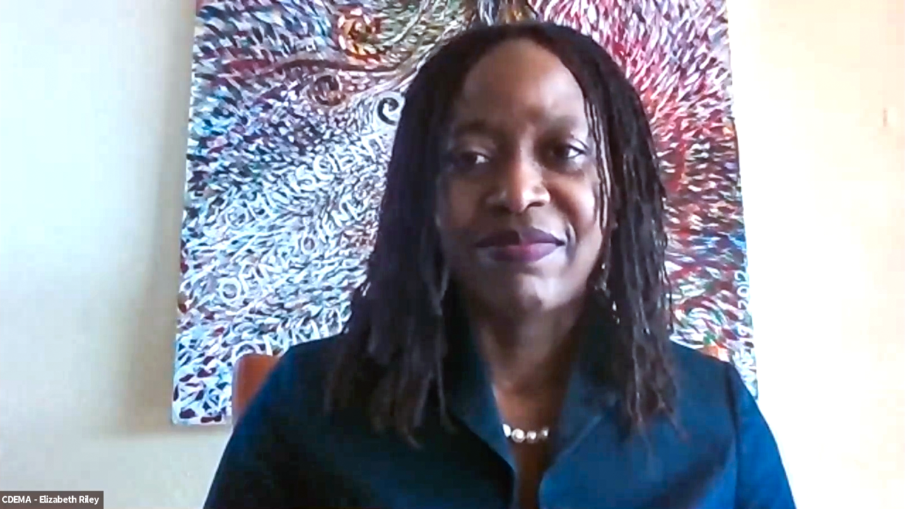 Elizabeth Riley appointed Executive Director of CDEMA - CARICOM